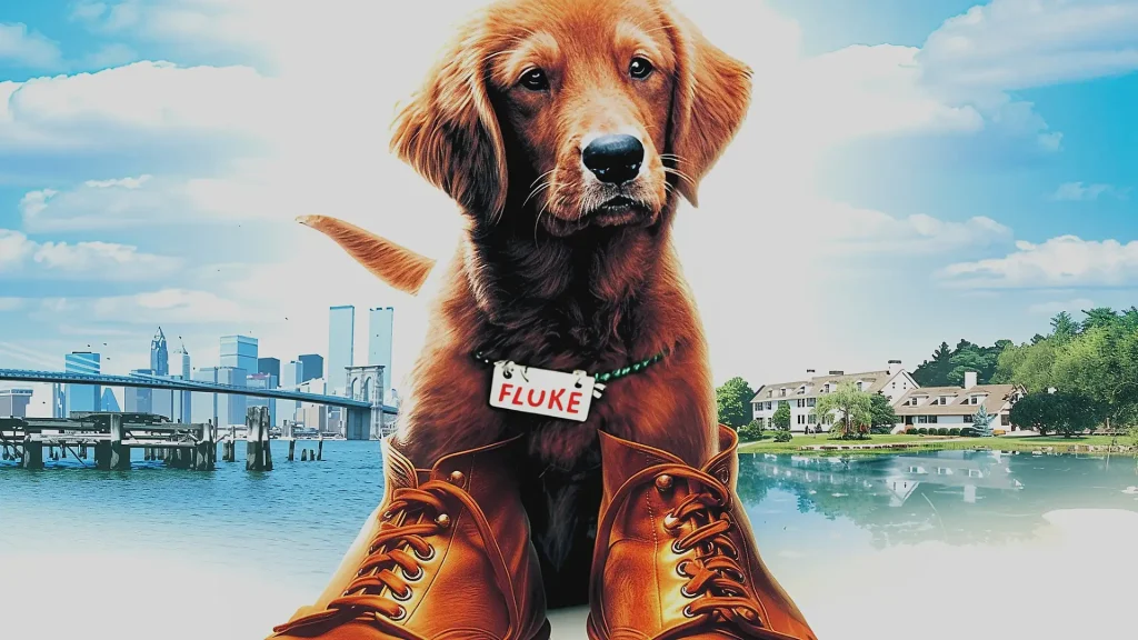 Las 15 Mejores Películas De Perros